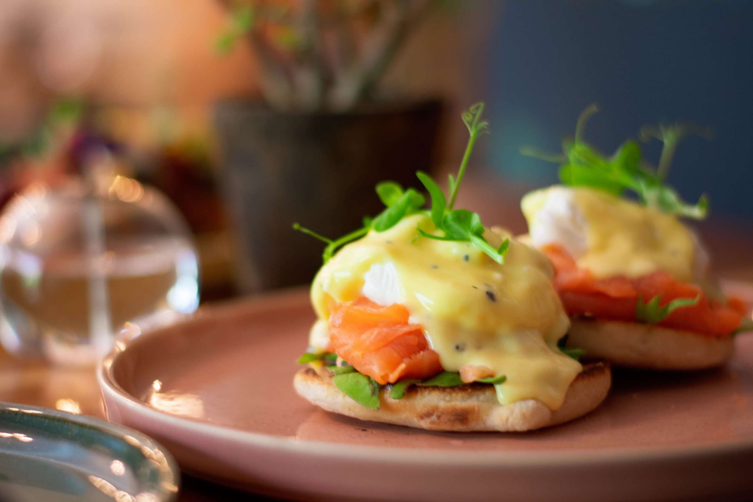 May Madness at Silver Forest - Silver Forest