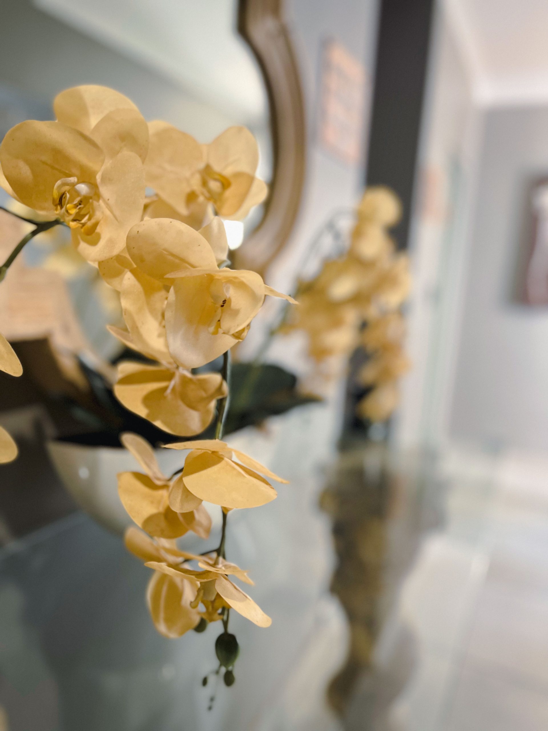 Women's Month at Silver Forest - Silver Forest